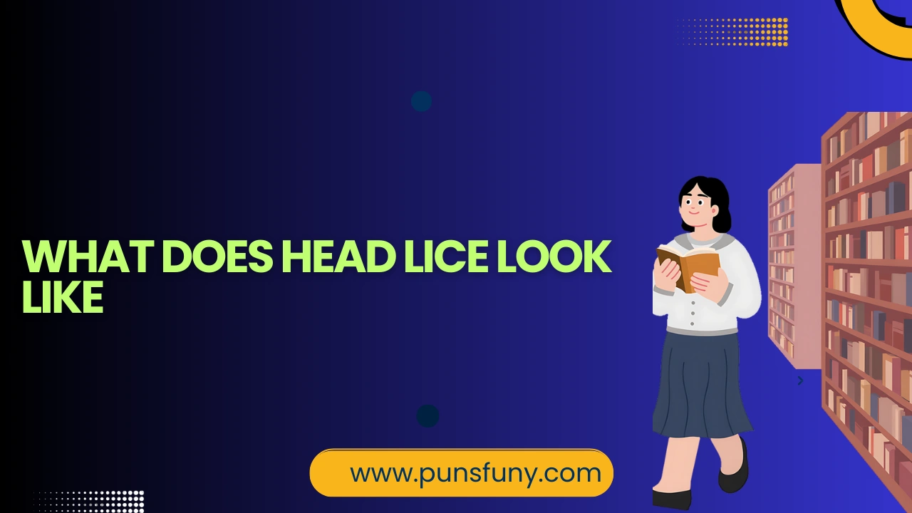 What Does Head Lice Look Like? A Clear, Visual, and Trustworthy Guide ...