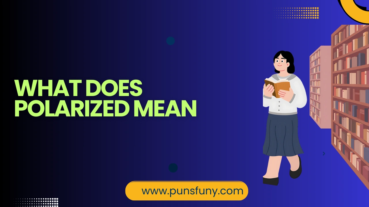 What Does Polarized Mean? Definition, Uses & Psychology 2026