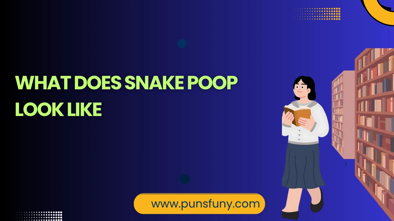 What Does Snake Poop Look Like? A Complete Visual & Meaningful Guide ...